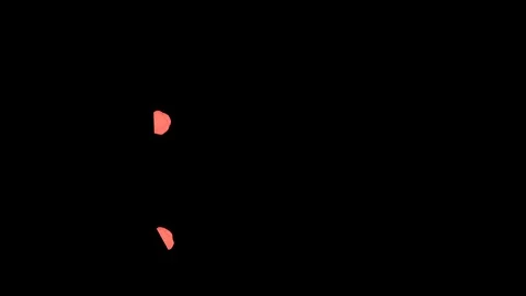 Abstract Red ink drop in water on a blac... | Stock Video | Pond5