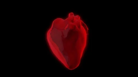 Abstract red realistic heart beating and... | Stock Video | Pond5