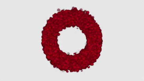 Rose Red Round Stock Videos – Royalty-Free HD & 4K Videos