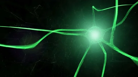 Neuron 3D Stock Footage ~ Royalty Free Stock Videos | Pond5