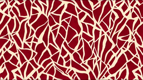 Abstract, shirting design, Ajrakh animat... | Stock Video | Pond5