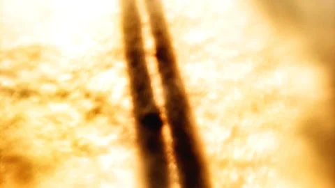 Walk Shadow Stock Footage ~ Royalty Free Stock Videos | Pond5