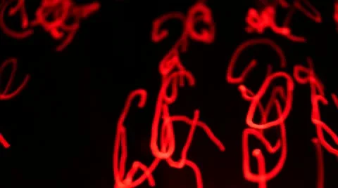 Squiggle Stock Videos – Royalty-Free HD & 4K Videos | Pond5