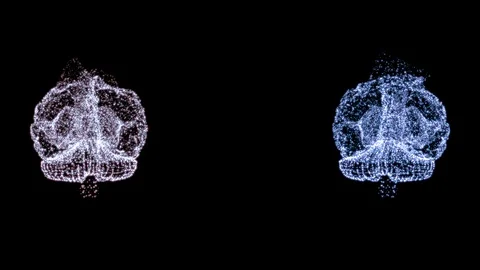 Show The Difference Stock Videos – Royalty-Free HD & 4K Videos