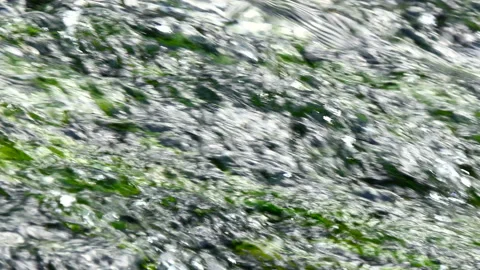 4" Wallpaper Stock Videos – Royalty-Free HD & 4K Videos | Pond5