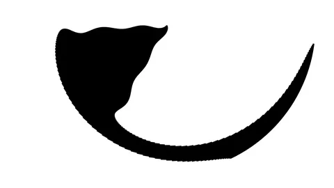 Underwater Caustics Stock Videos – Royalty-Free HD & 4K Videos | Pond5