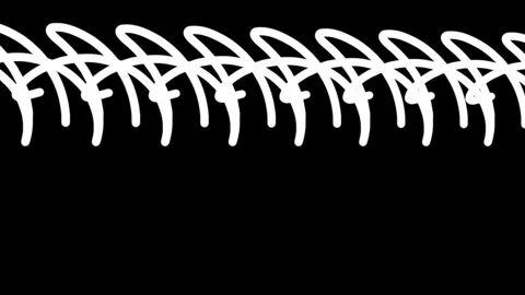 Black Line Pattern Stock Videos – Royalty-Free HD & 4K Videos