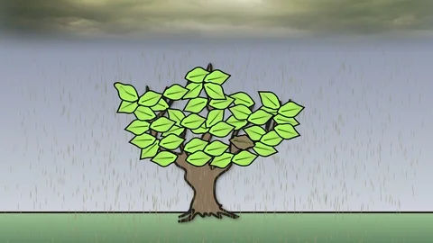 Acid Rain - Animation | Stock Video | Pond5