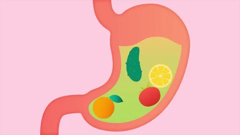 Acid in the stomach. Animation 2D | Stock Video | Pond5