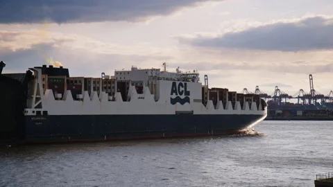 Acl Stock Video Footage | Royalty Free Acl Videos | Pond5