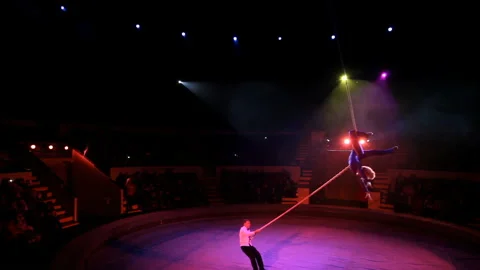 Circus Rope Pose Stock Footage ~ Royalty Free Stock Videos | Pond5