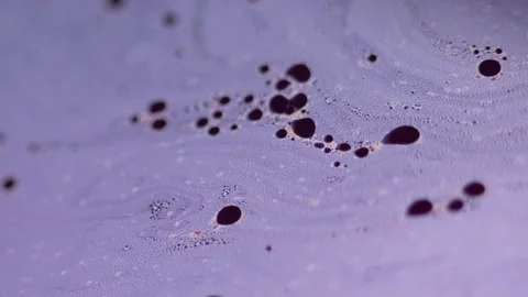 Oil Spill Texture Stock Video Footage | Royalty Free Oil Spill Texture ...