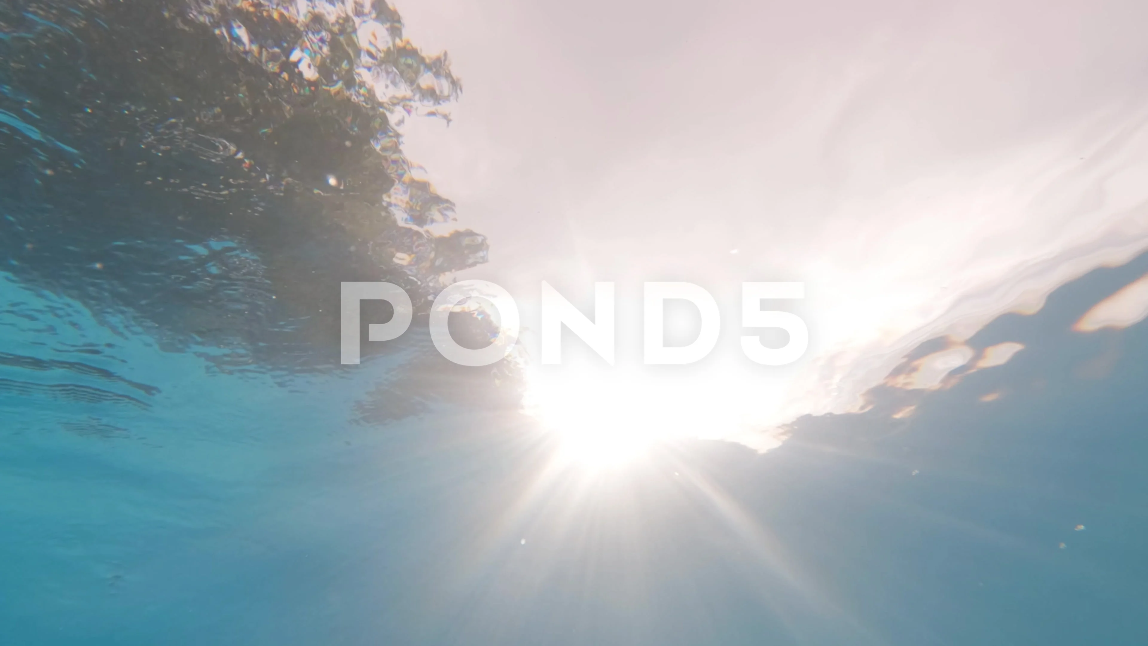 Underwater Looking Up At Sun