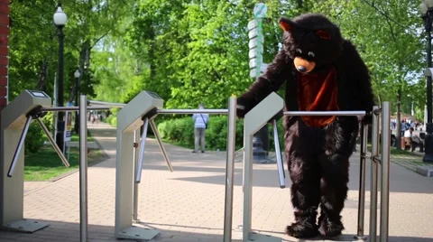 Bear Gets Dressed Stock Videos – Royalty-Free HD & 4K Videos | Pond5