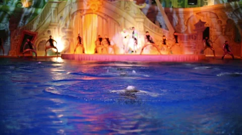 Synchronized Swimming Stock Video Footage | Royalty Free Synchronized ...