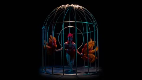 Actress In Black Stock Videos – Royalty-Free HD & 4K Videos