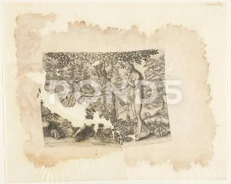 Adam and Eva. Adam and Eve stand for the tree of knowledge in paradise ...