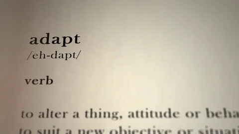 Acclimated Stock Video Footage | Royalty Free Acclimated Videos | Pond5