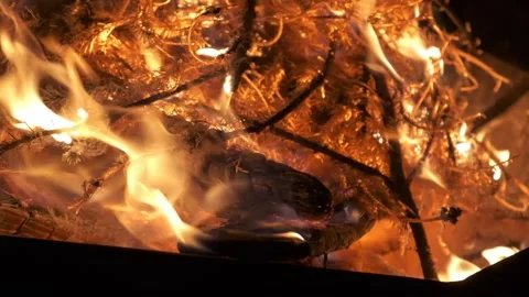 adding wood to a burning backyard fire i... | Stock Video | Pond5