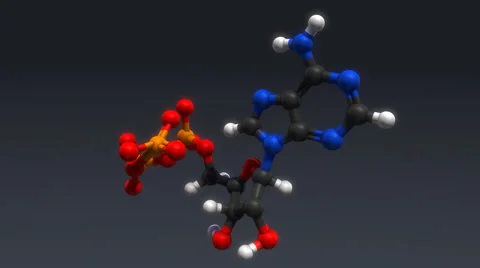 Adenosine triphosphate structure | Stock Video | Pond5