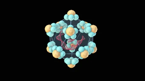 Adenovirus structure, 3d animation | Stock Video | Pond5