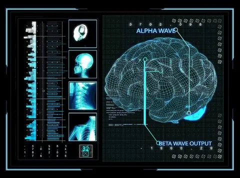 Infographic For 3 Stock Videos – Royalty-Free HD & 4K Videos | Pond5