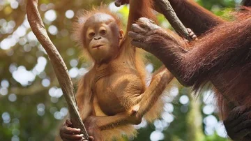 Clinging Hair Stock Videos – Royalty-Free HD & 4K Videos