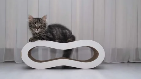 Cute Post Its Stock Videos – Royalty-Free HD & 4K Videos | Pond5