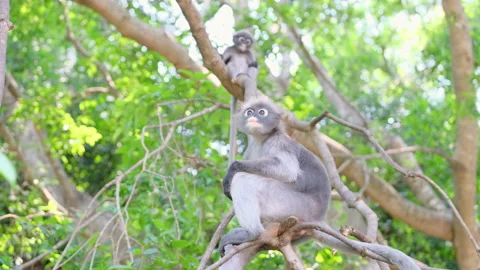 Stay Back Stock Videos – Royalty-Free HD & 4K Videos