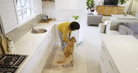 Teasing S Stock Videos – Royalty-Free HD & 4K Videos