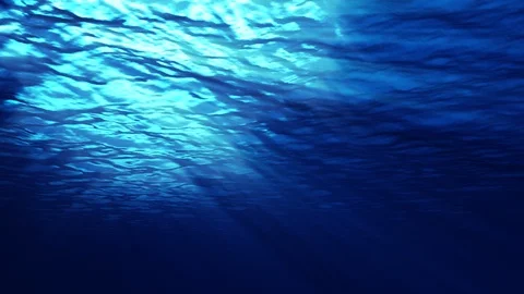 Advanced Underwater Looping Animation fu... | Stock Video | Pond5