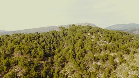 Adventurous summit peak full of pine tre... | Stock Video | Pond5