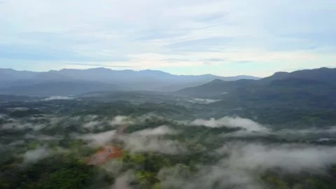 Aerial 360 view of jungle rainforest cov... | Stock Video | Pond5
