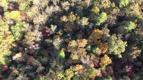 Over Video Stock Videos – Royalty-Free HD & 4K Videos | Page 5