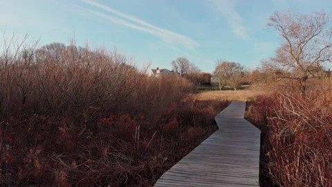 Aerial 4k view of Lily Pond Park in Fall... | Stock Video | Pond5