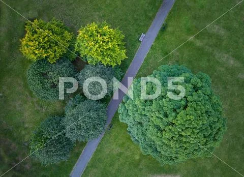 Photograph: Aerial of a bench, trees, bushes, grass and a path in a ...