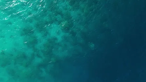 Aerial bird's eye view of coral reef to ... | Stock Video | Pond5