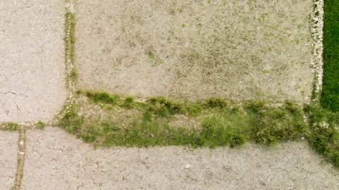 An aerial bird's eye view of green grass... | Stock Video | Pond5