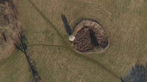 Aerial Bird's Eye View Isolated Tree Wit... | Stock Video | Pond5