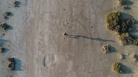 Aerial bird's eye view of man running ou... | Stock Video | Pond5