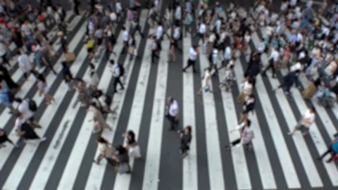 Aerial blurred view of zebra crossing. C... | Stock Video | Pond5