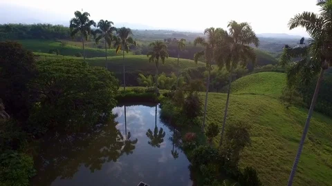 Two Birds Moving Stock Videos – Royalty-Free HD & 4K Videos | Pond5