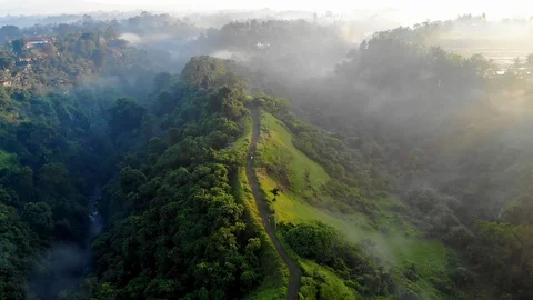 Cinematic Nature Stock Video Footage | Royalty Free Cinematic Nature ...