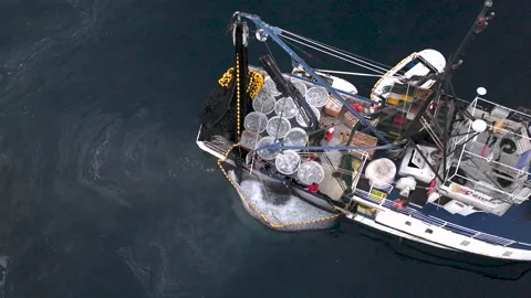 Commercial_Full Stock Videos – Royalty-Free HD & 4K Videos