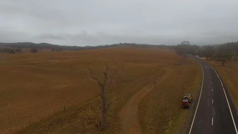 Aerial of a dead tree and the surroundin... | Stock Video | Pond5