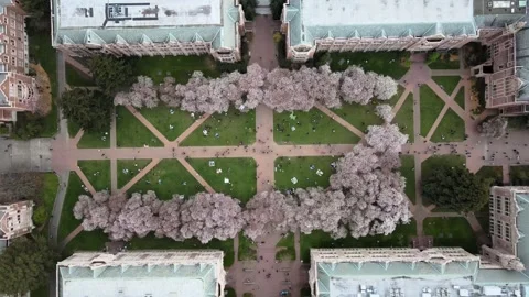 Aerial descending top view of The Quad a... | Stock Video | Pond5