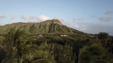 Aerial Dolly Shot Through Palm Trees Of ... | Stock Video | Pond5