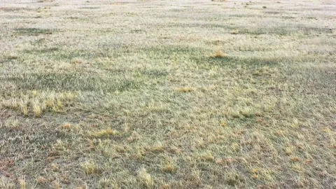 Above Ground Aerial Stock Videos – Royalty-Free HD & 4K Videos | Page 5