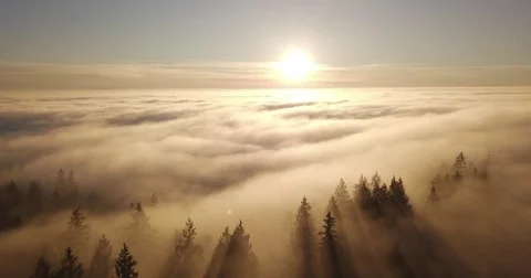 One Lut Stock Videos – Royalty-Free HD & 4K Videos | Pond5