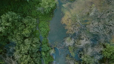Aerial Swamp Stock Video Footage | Royalty Free Aerial Swamp Videos | Pond5